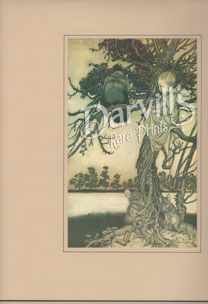 Arthur Rackham "Peter Pan in Kensington Gardens" prints