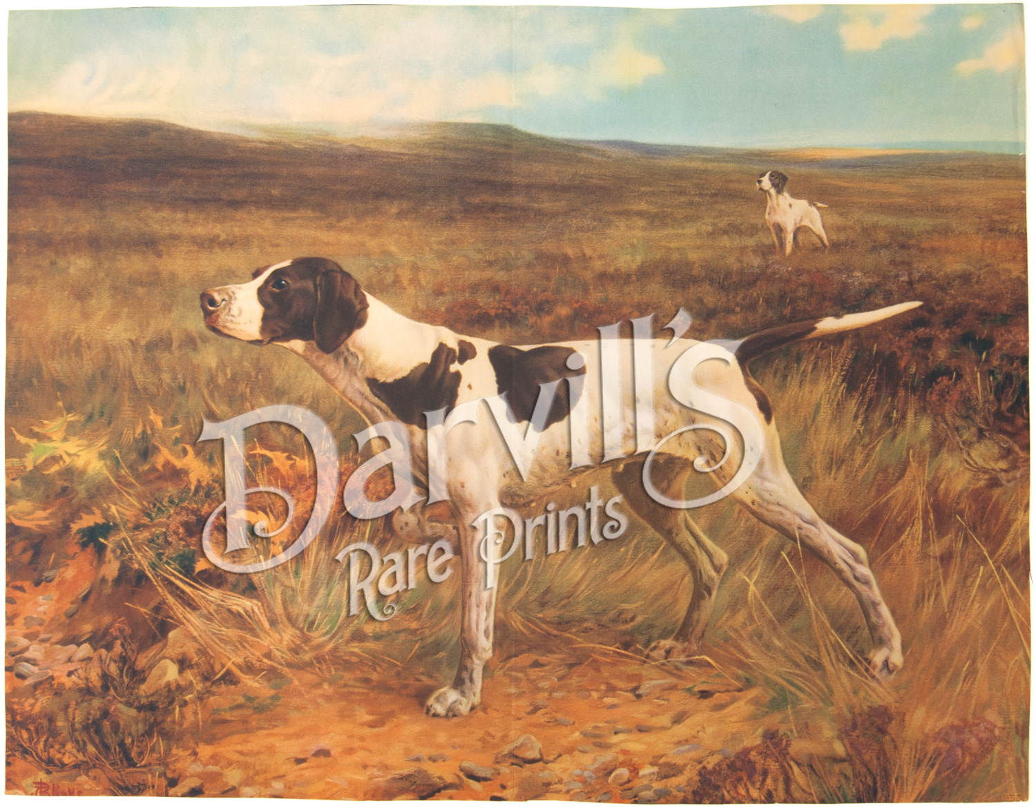 Vintage Moose/Elk/Deer hunting prints (1930s-1940s) bear hunting, deer ...