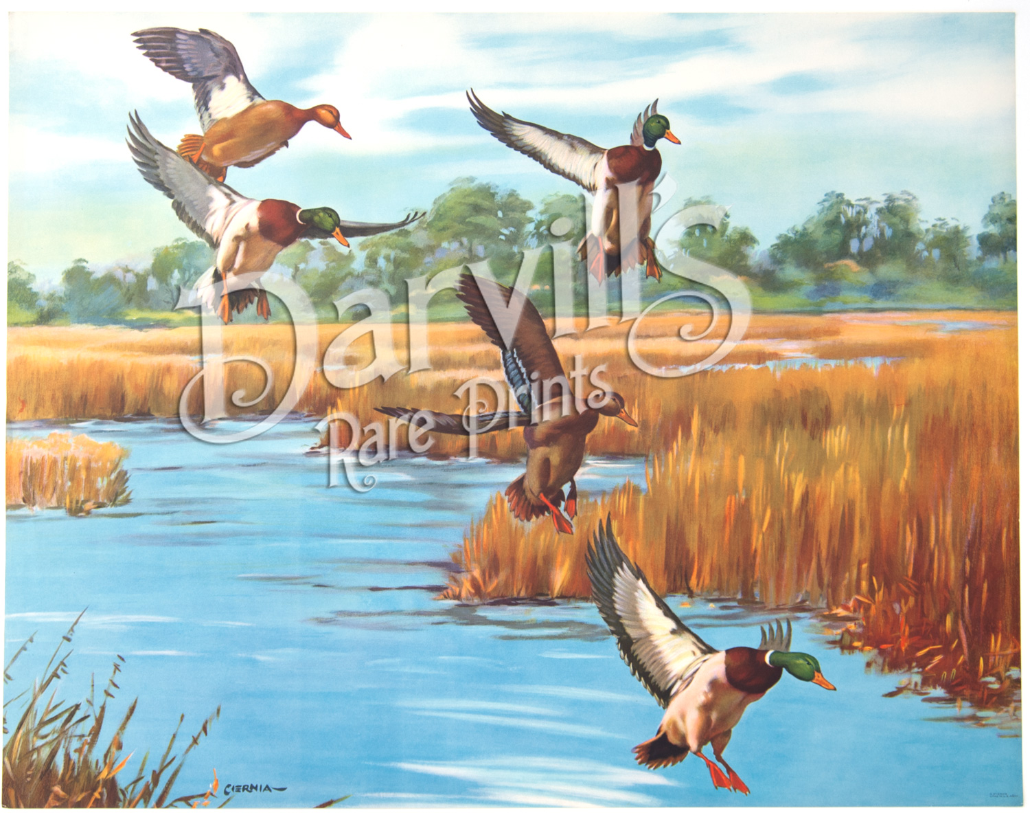 Vintage Moose/Elk/Deer hunting prints (1930s-1940s) bear hunting, deer ...