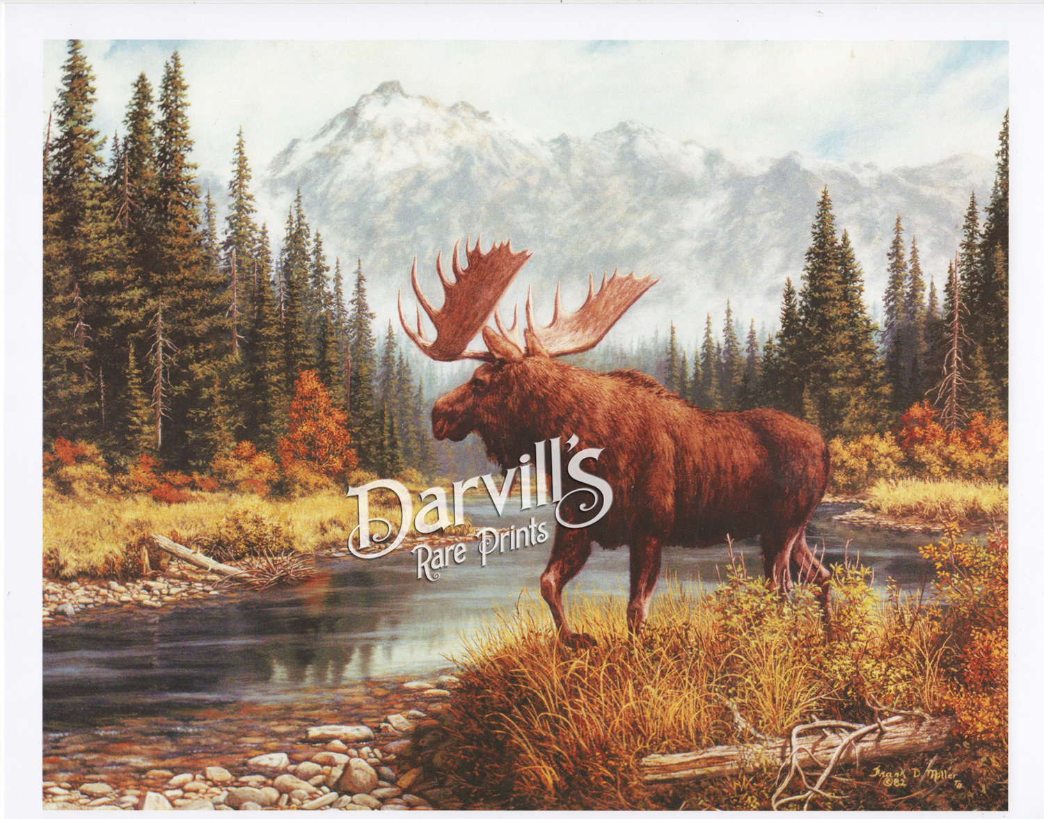 Vintage hunting prints (1930s-1940s) bear hunting, deer hunting, moose ...