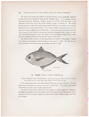 Antique Denton fish chromolithograph prints of Trout, Pike, Bass, Red ...