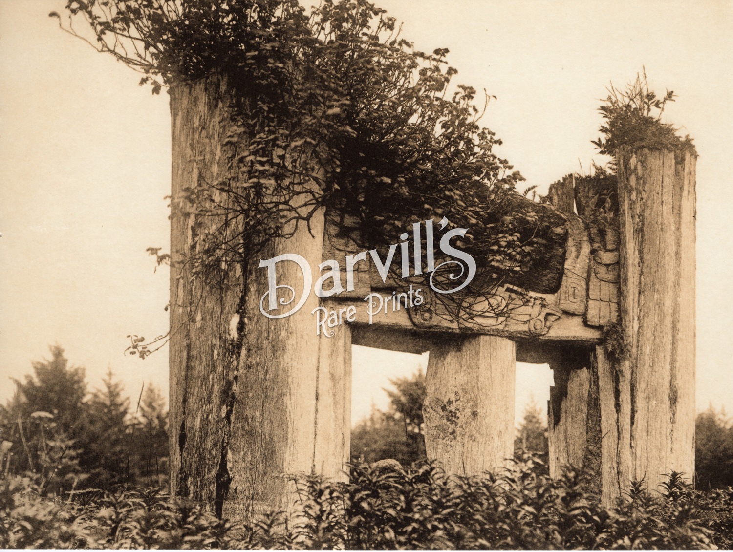 Edward S. Curtis Portraits from North American Indian Life photographs