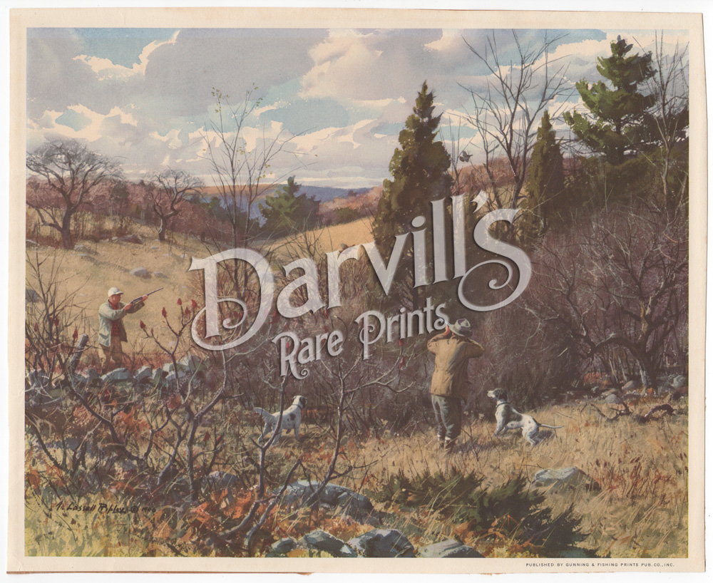 Vintage game bird hunting prints (1946) A. Lassell Ripley artist