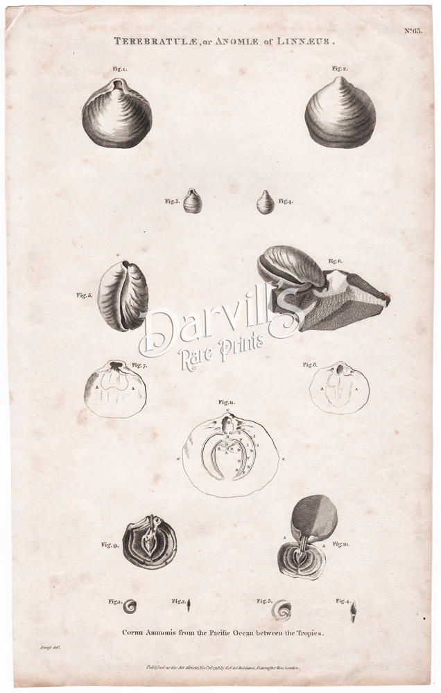 La Perouse's Voyage Around the World original charts, maps, views ...