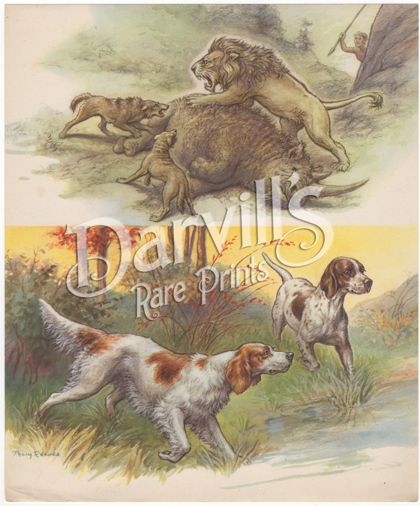vintage animal prints by Percy Reeves, circa 1940s