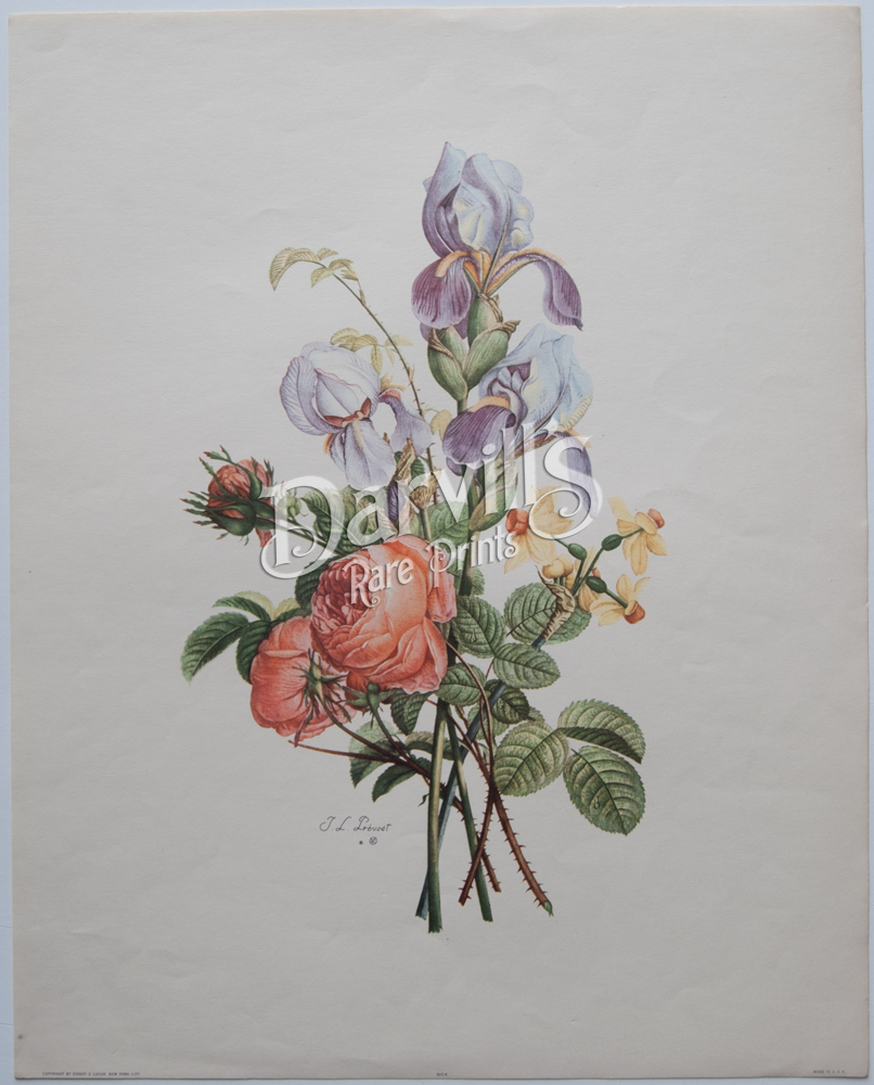 Vintage Jean Louis Prevost floral prints published by Sidney Z Lucas ...