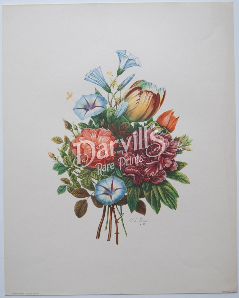 Vintage Jean Louis Prevost floral prints published by Sidney Z Lucas ...