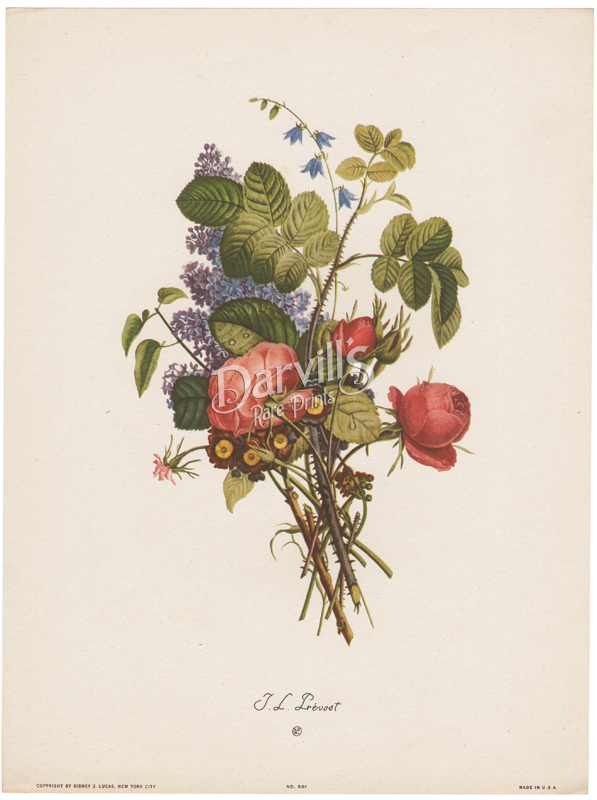 Vintage Jean Louis Prevost floral prints published by Sidney Z Lucas ...