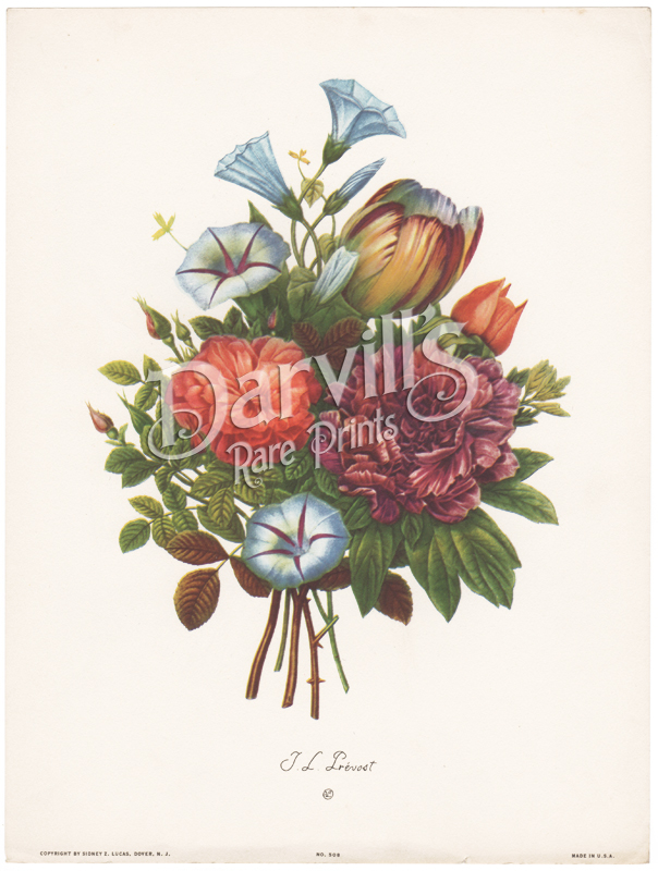 Vintage Jean Louis Prevost floral prints published by Sidney Z Lucas ...