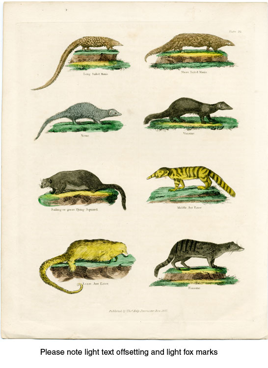 George Louis LeClerc Buffon, "Buffon's Complete Works" 1834 Natural ...