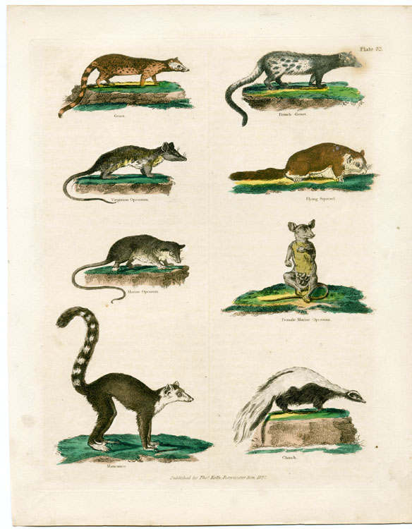 George Louis LeClerc Buffon, "Buffon's Complete Works" 1834 Natural ...