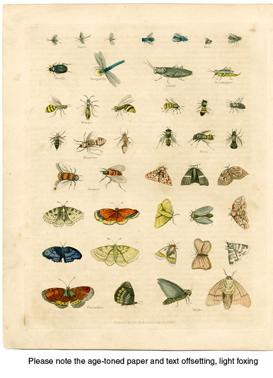 George Louis LeClerc Buffon, "Buffon's Complete Works" 1834 Natural ...