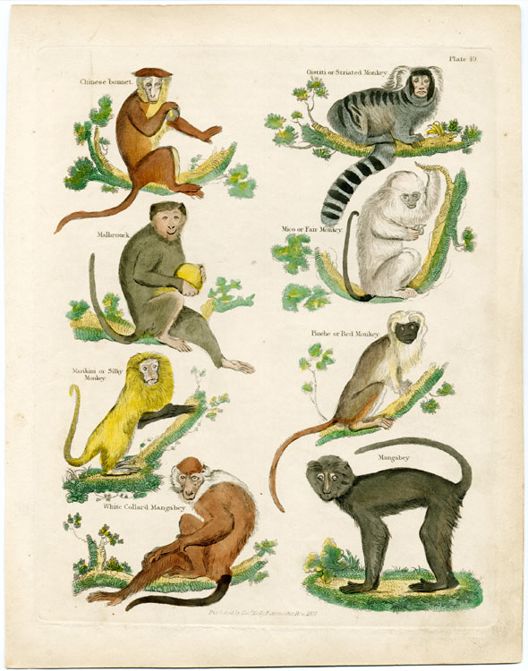 George Louis LeClerc Buffon, "Buffon's Complete Works" 1834 Natural ...