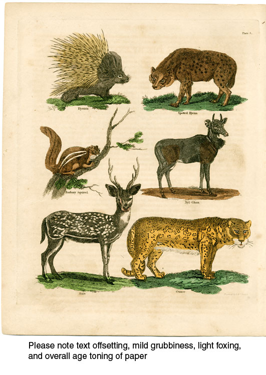 George Louis LeClerc Buffon, "Buffon's Complete Works" 1834 Natural ...