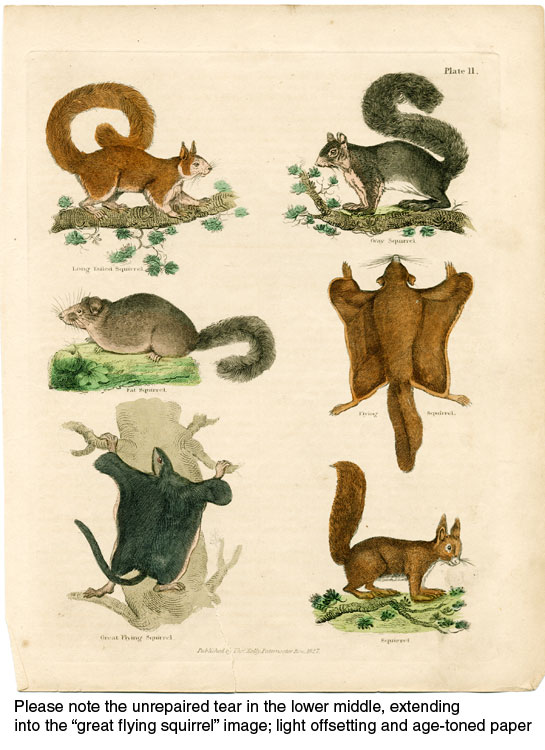 George Louis LeClerc Buffon, "Buffon's Complete Works" 1834 Natural ...