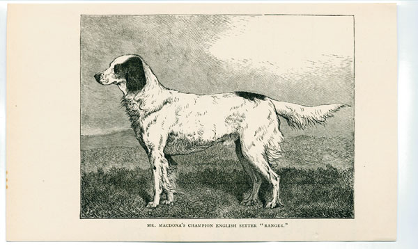 Cassell's "Illustrated Book of the Dog" chromolithographs 1881 edition