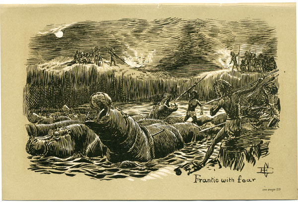 Antique prints of Big Game Hunting, Lions, Tigers, Hippos, Kangaroo ...