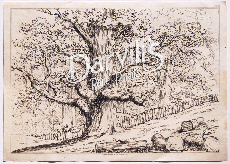 Sketching Landscape Scenery From Nature; soft ground etchings by John ...