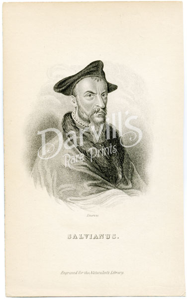 Sir William Jardine "The Naturalist's Library" 1838-43 antique ...