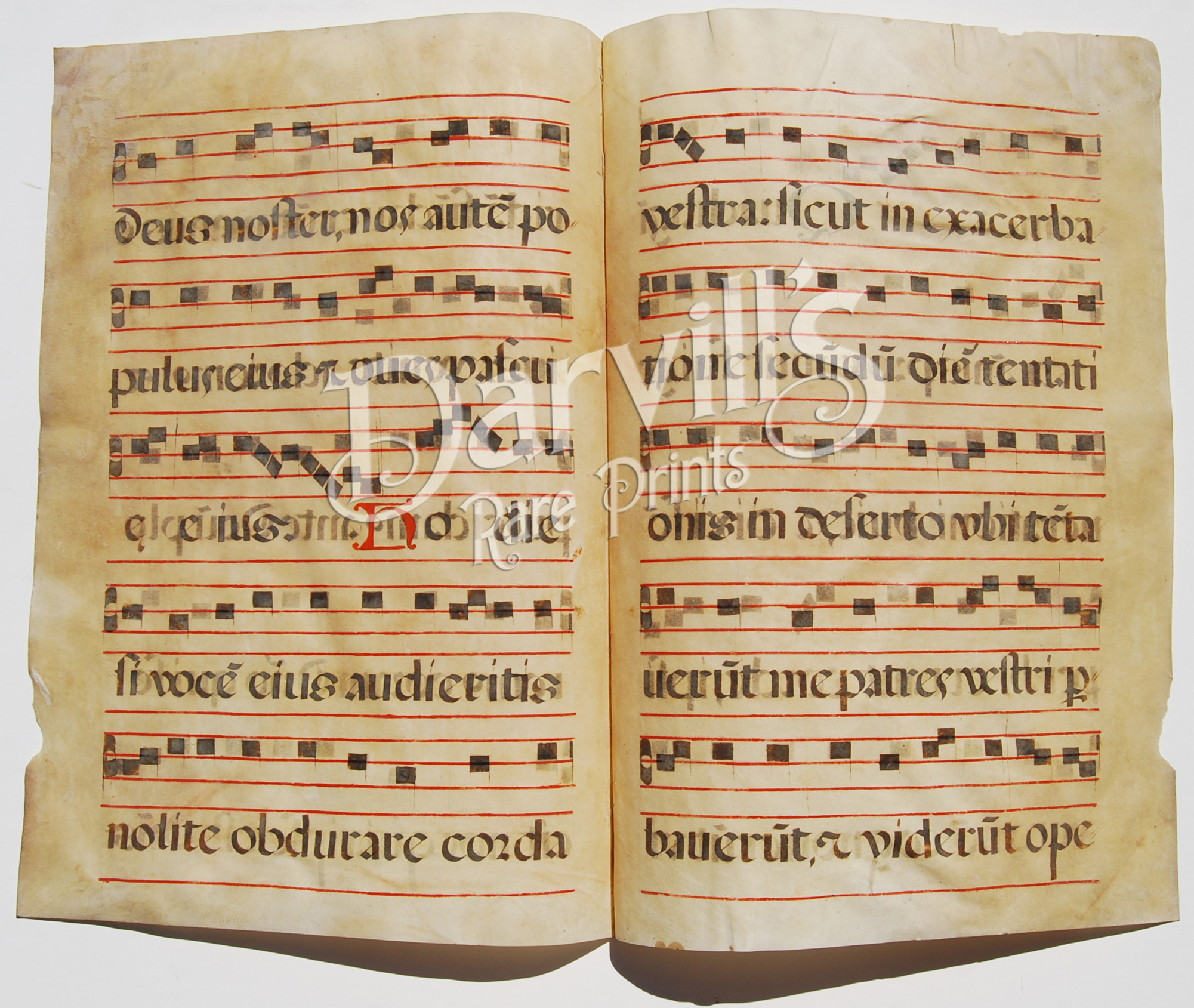 Missale Festivum manuscript, handwritten parchments from Spanish ...