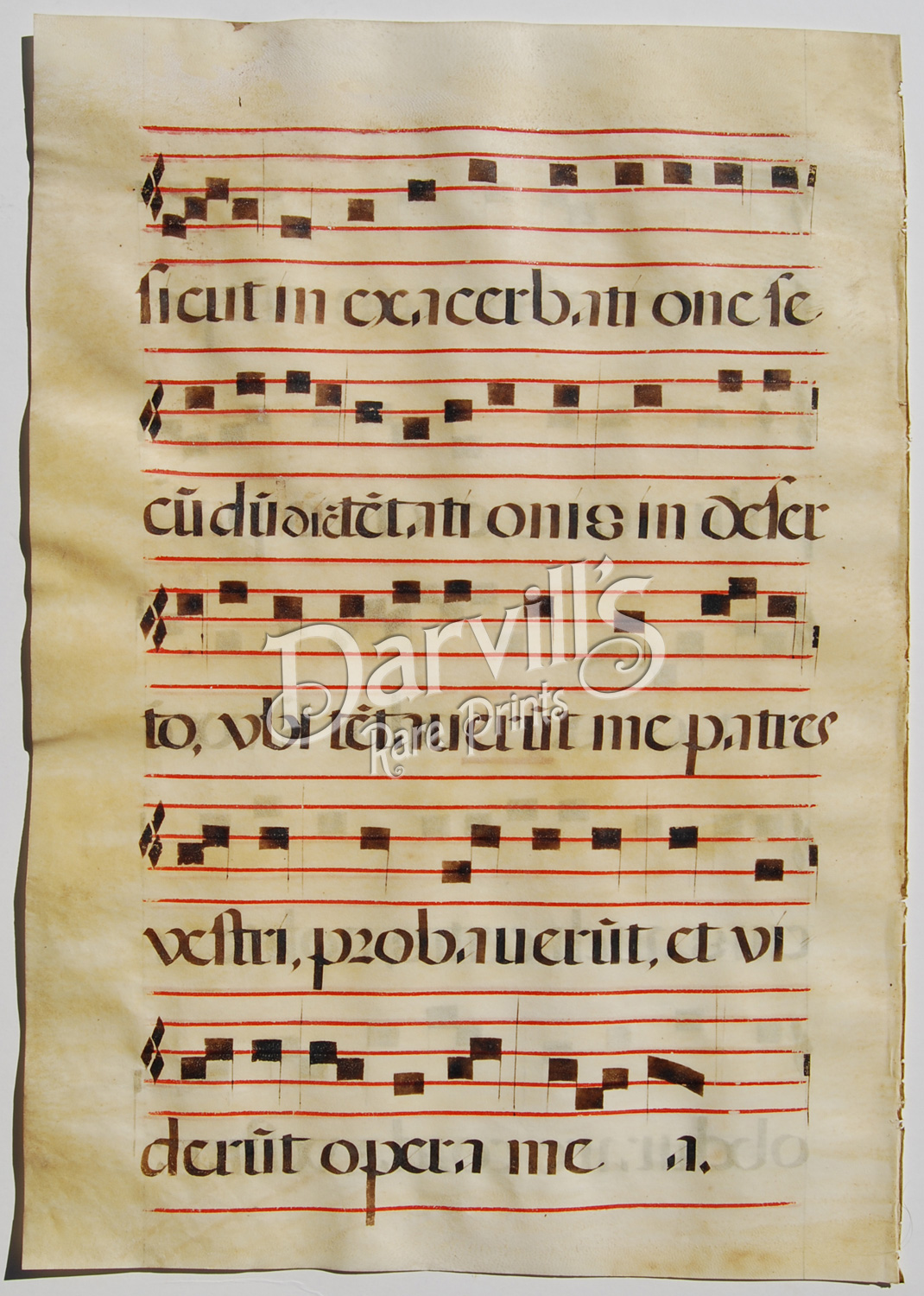 Missale Festivum manuscript, handwritten parchments from Spanish ...