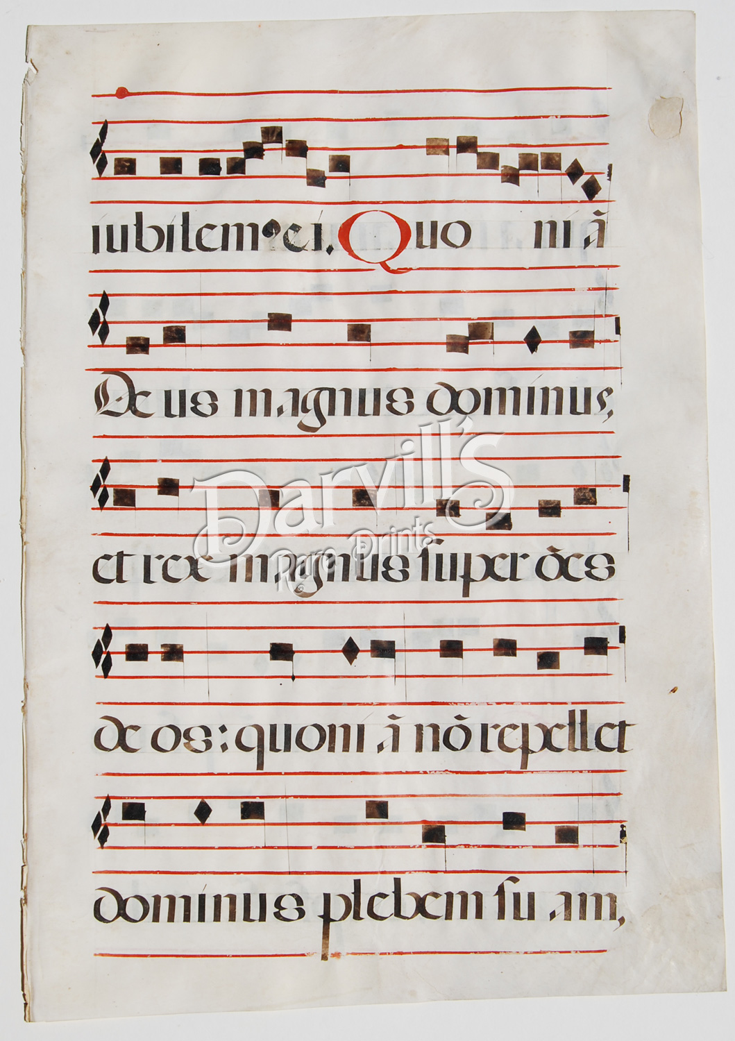 Missale Festivum manuscript, handwritten parchments from Spanish ...