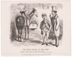 Punch magazine Cartoons 1844-1916