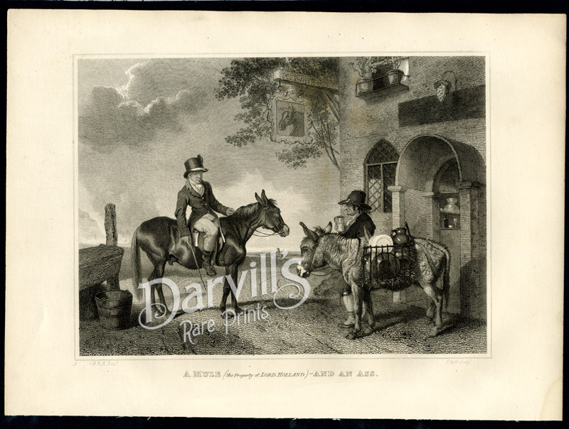 Antique prints of horses and dogs from "The Sportsman's Repository" by ...